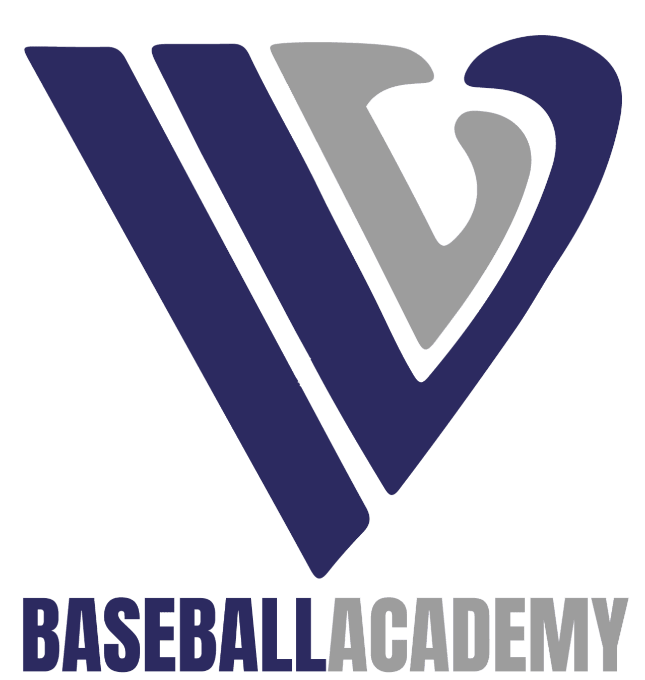 IVL Baseball Academy 2024 - IVL Baseball Academy